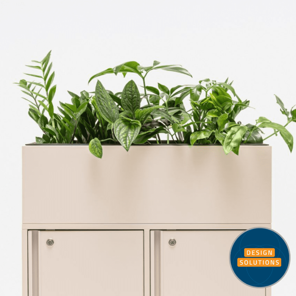 mdd Locker Plus with Plant Extension – Hague Dental Supplies